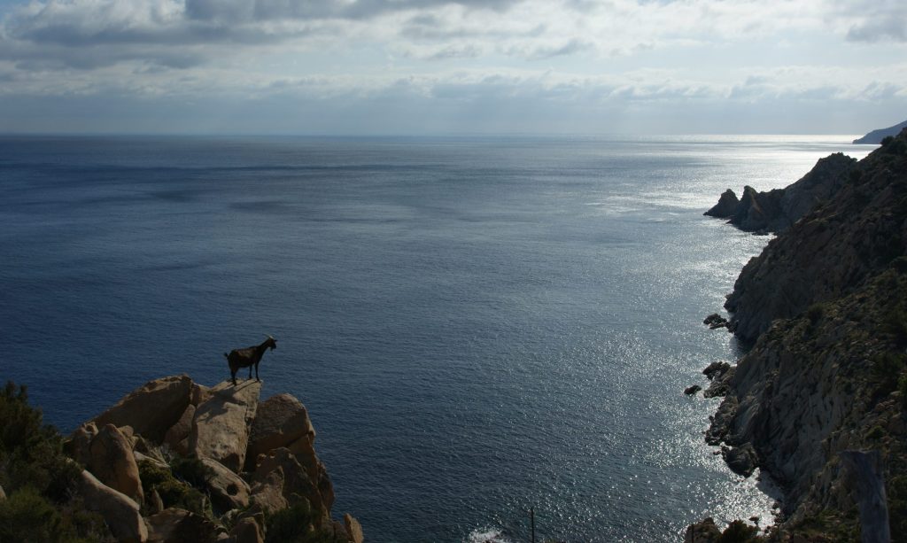 The Blue Zones Project In The Us Longevity Blue Zones